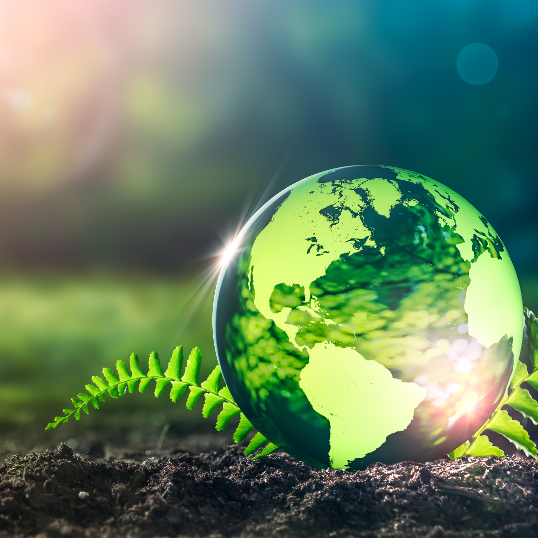 Celebrating Earth Day with Eco-Friendly Products and Projects